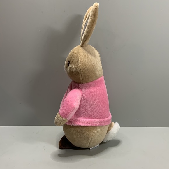 FW & Co | Toys | The World Of Beatrice Potter Peter Rabbit Flopsy Plush ...